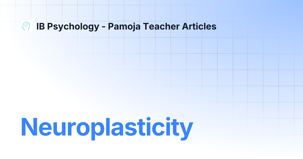 Neuroplasticity | IB Psychology - Pamoja Teacher Articles